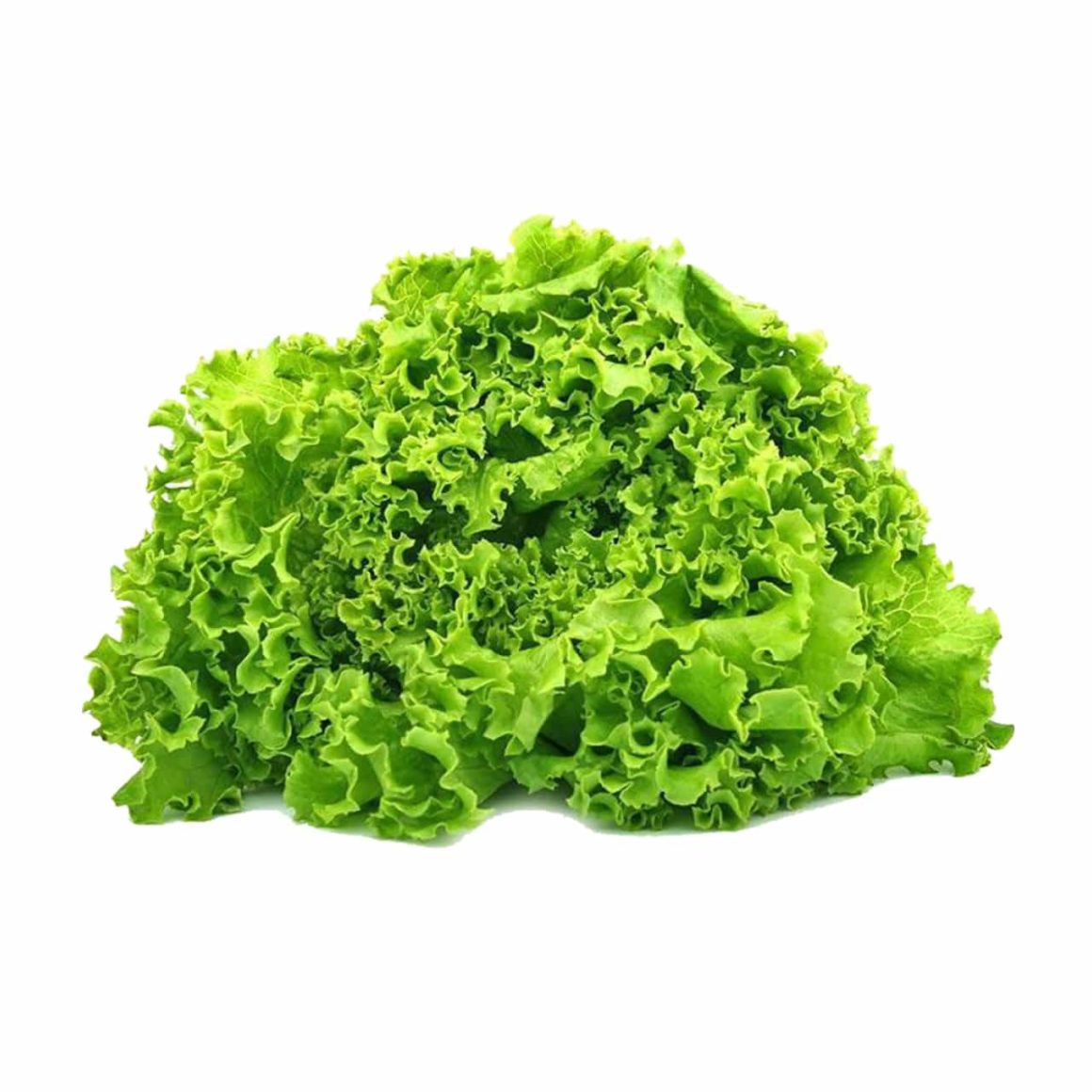 Perime Archives - Spar